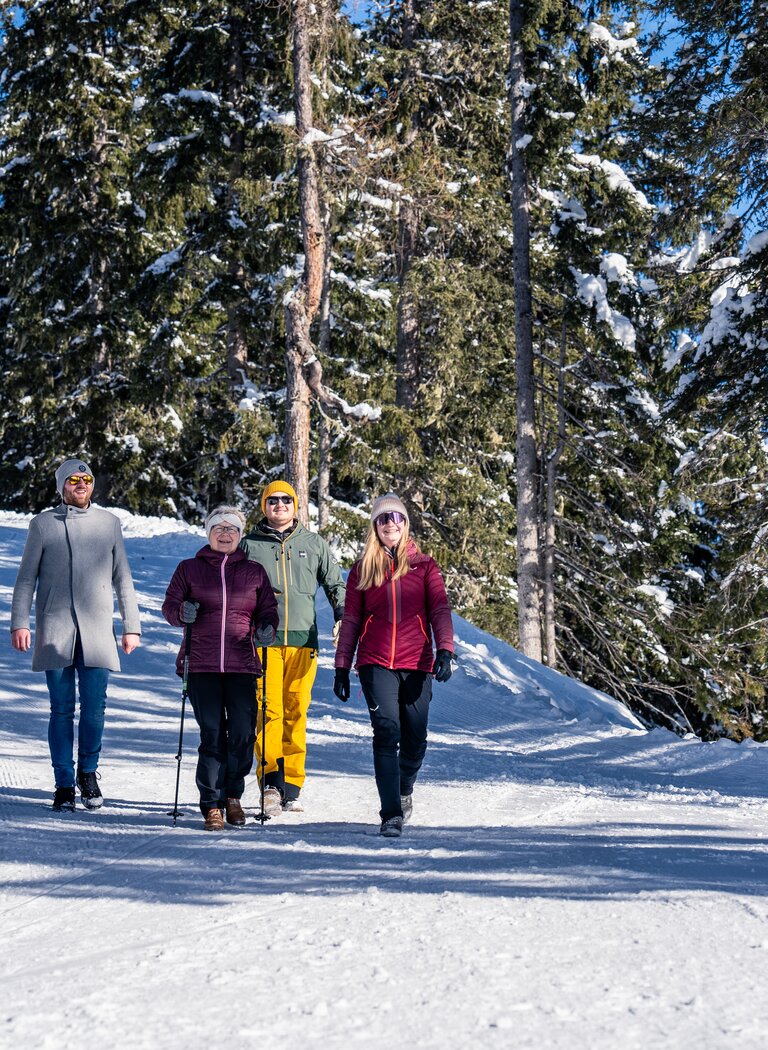 8 Days - Winter hiking Schladming-Dachstein